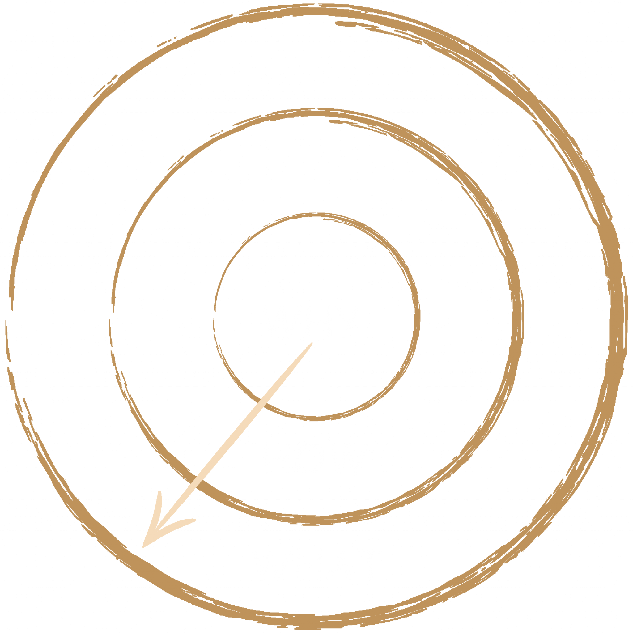 The Importance of the Golden Circle to Business Success
